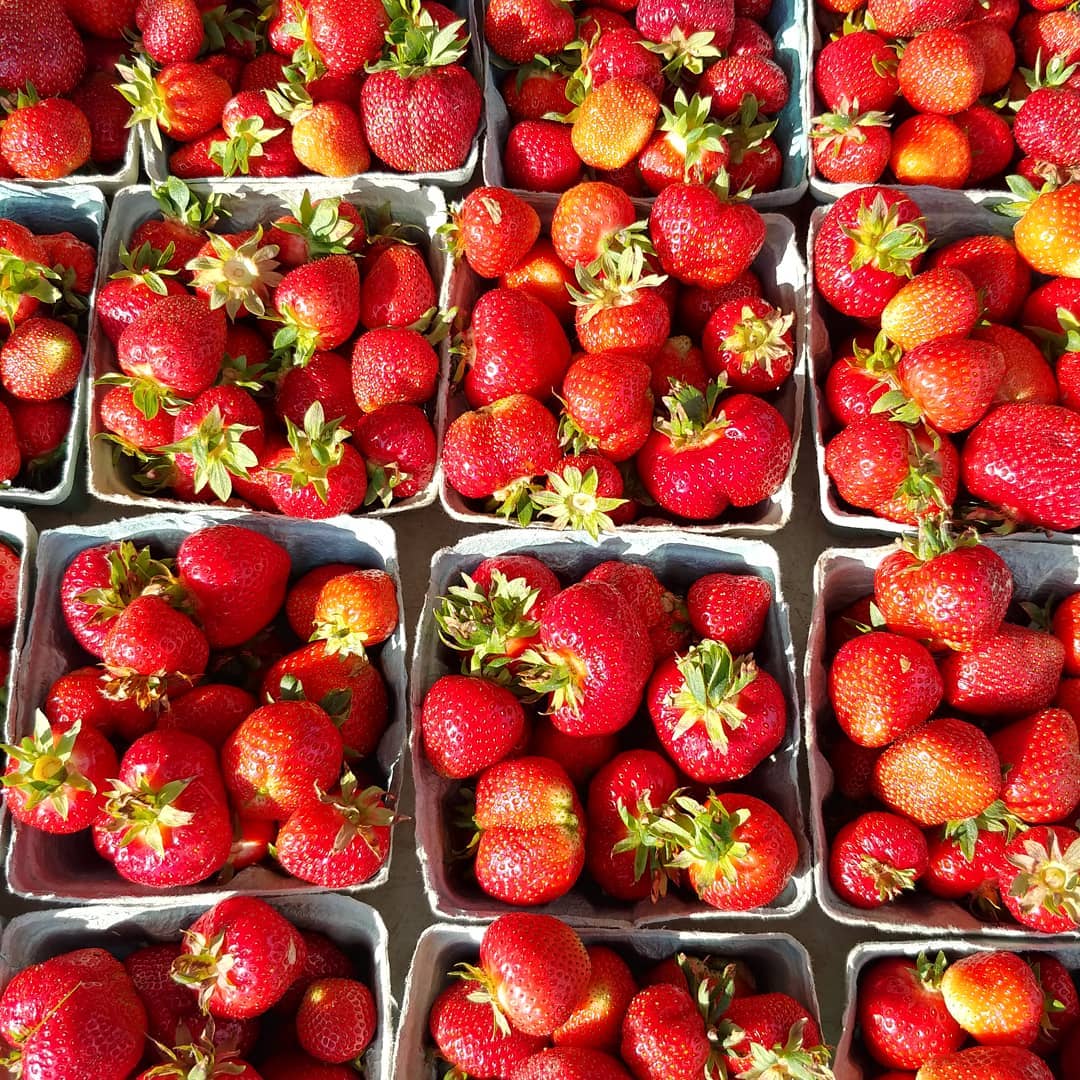 Strawberry pack: Fresh and Sweet Strawberries