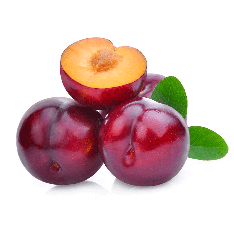 Fresh Red Plum: Sweet and Succulent Plum Fruits